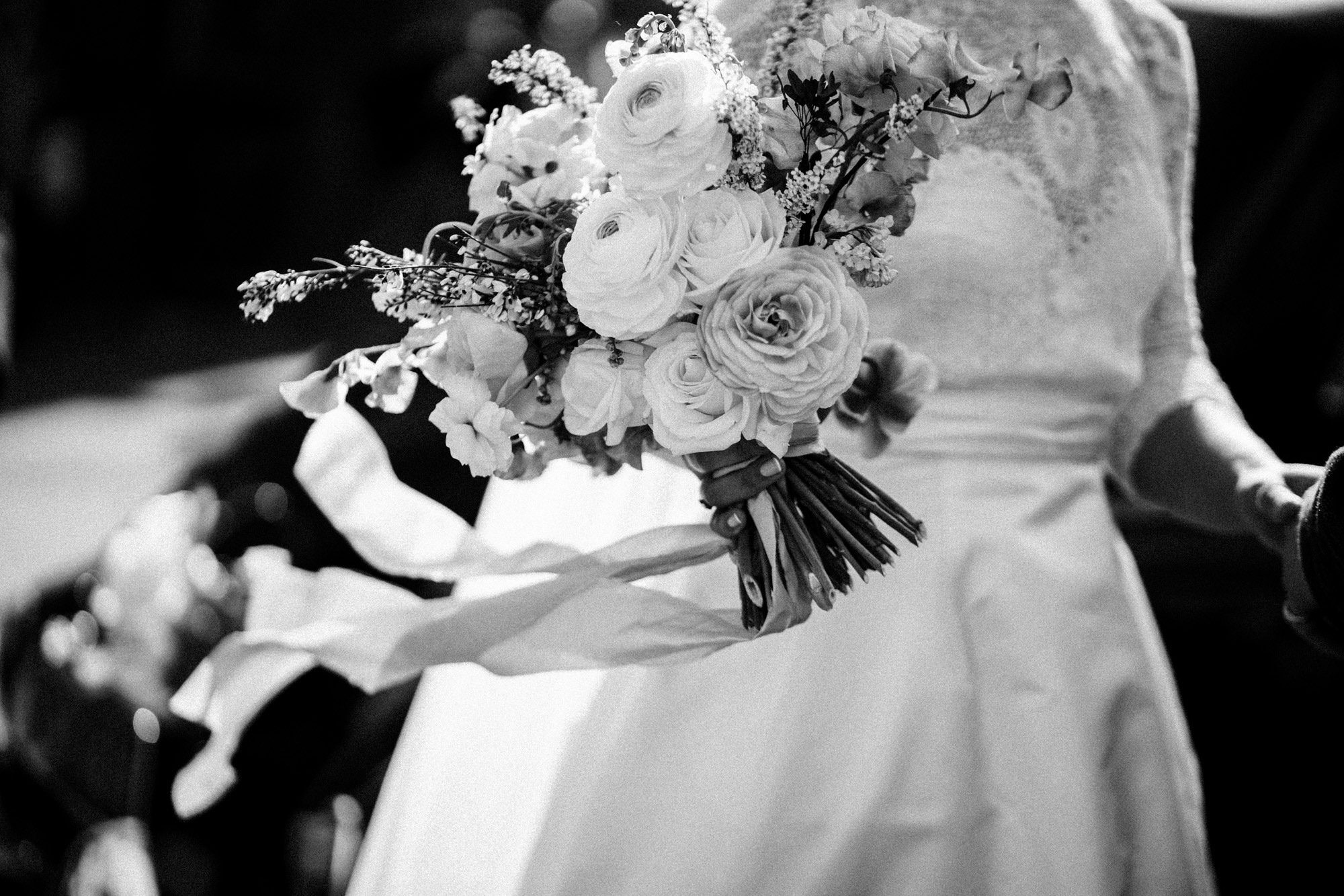 Portfolio | Stephen Walker Photography